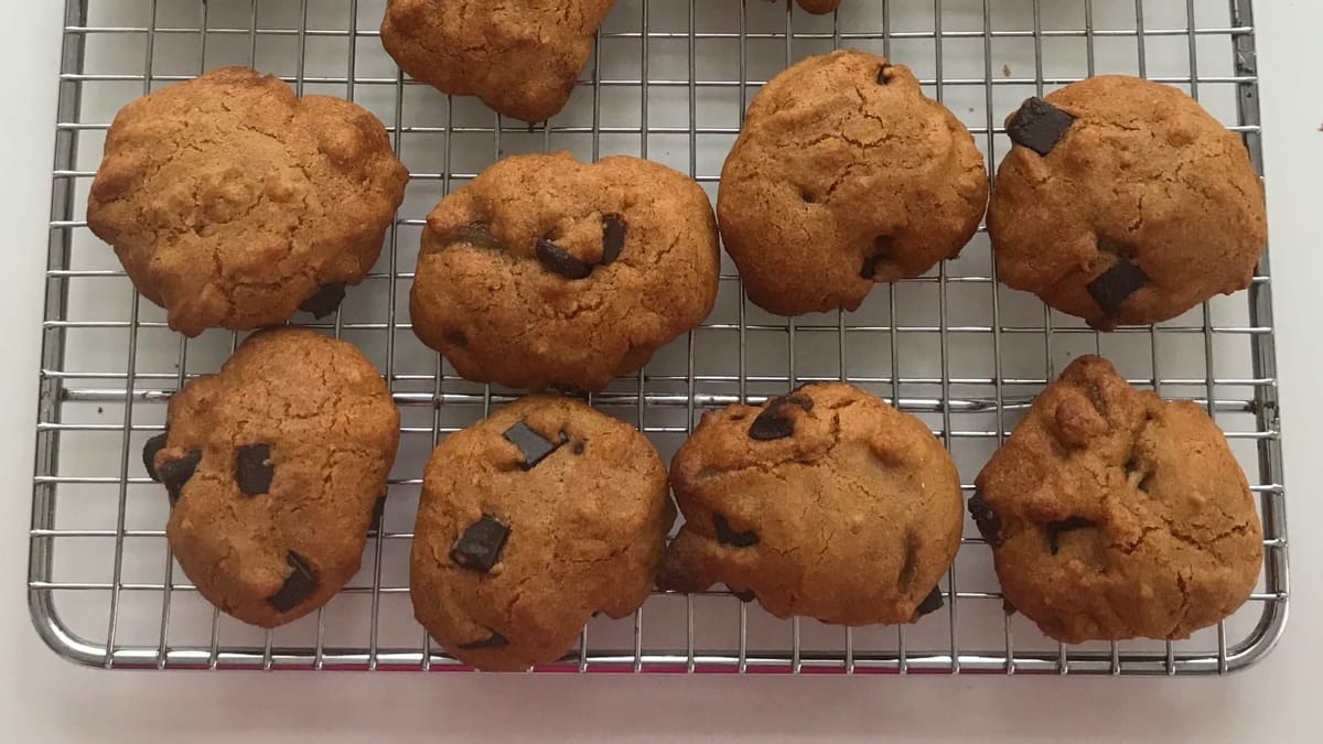 Low protein PKU Ginger and chocolate chip cookies, easy.